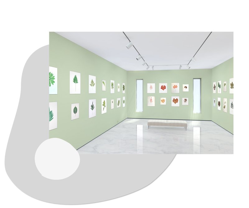 3d Virtual Art Gallery Exhibition Platform Exhibbit